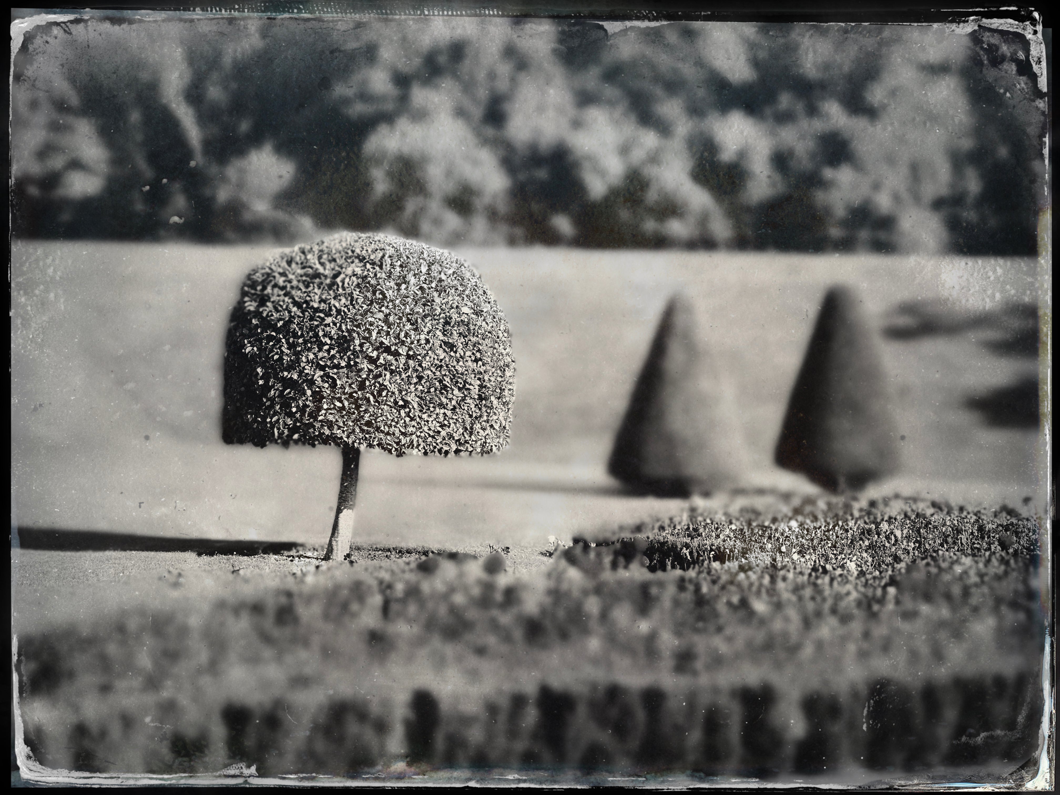 True North Art Gallery – True North Art Gallery